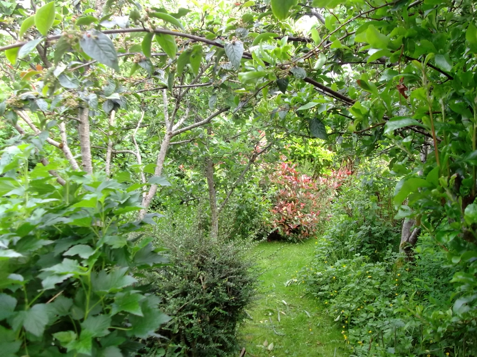 May 9, Sarah Barfield | Science Under The Stars