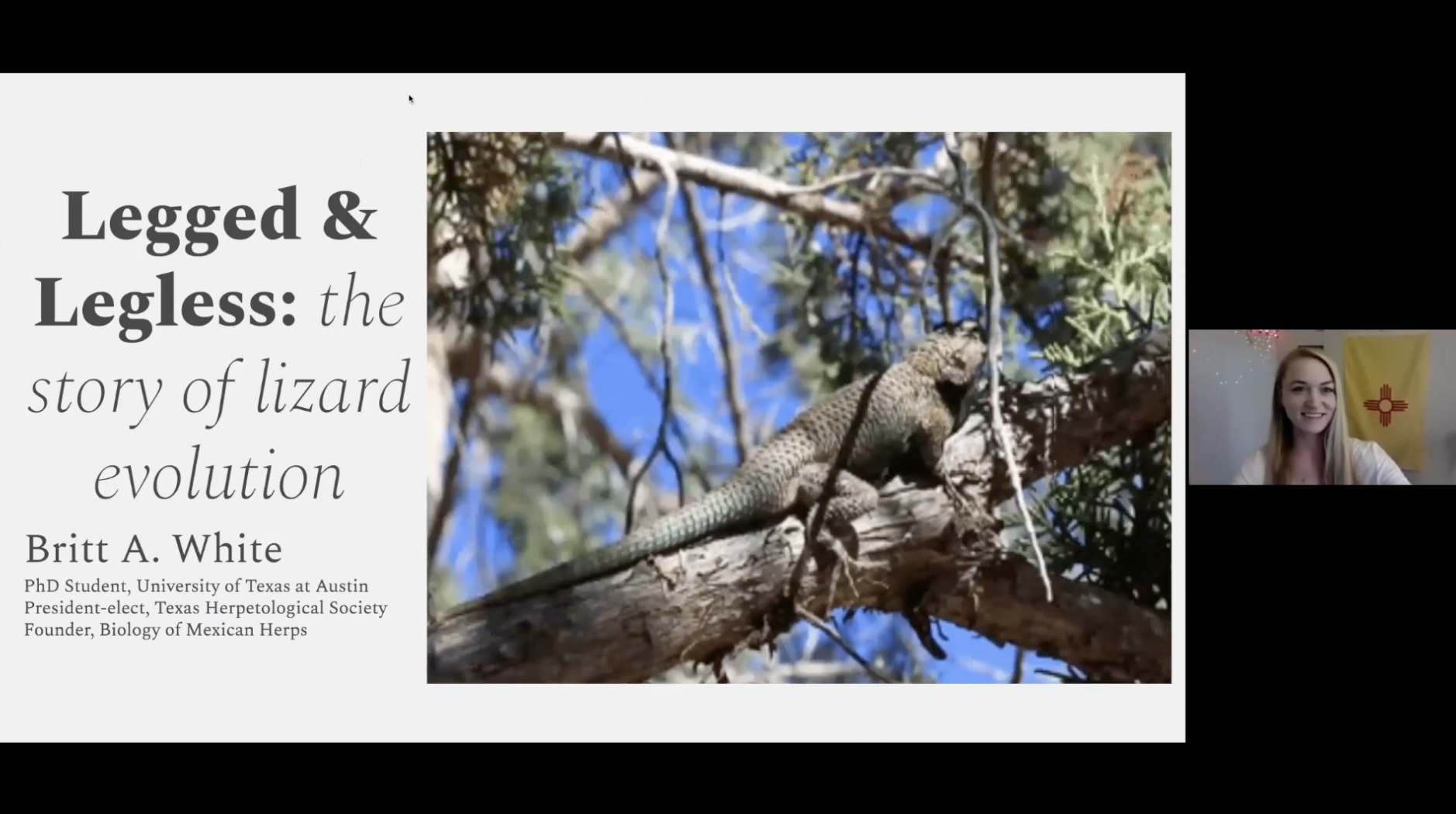 Recording of Legged and legless: the story of lizard evolution ...