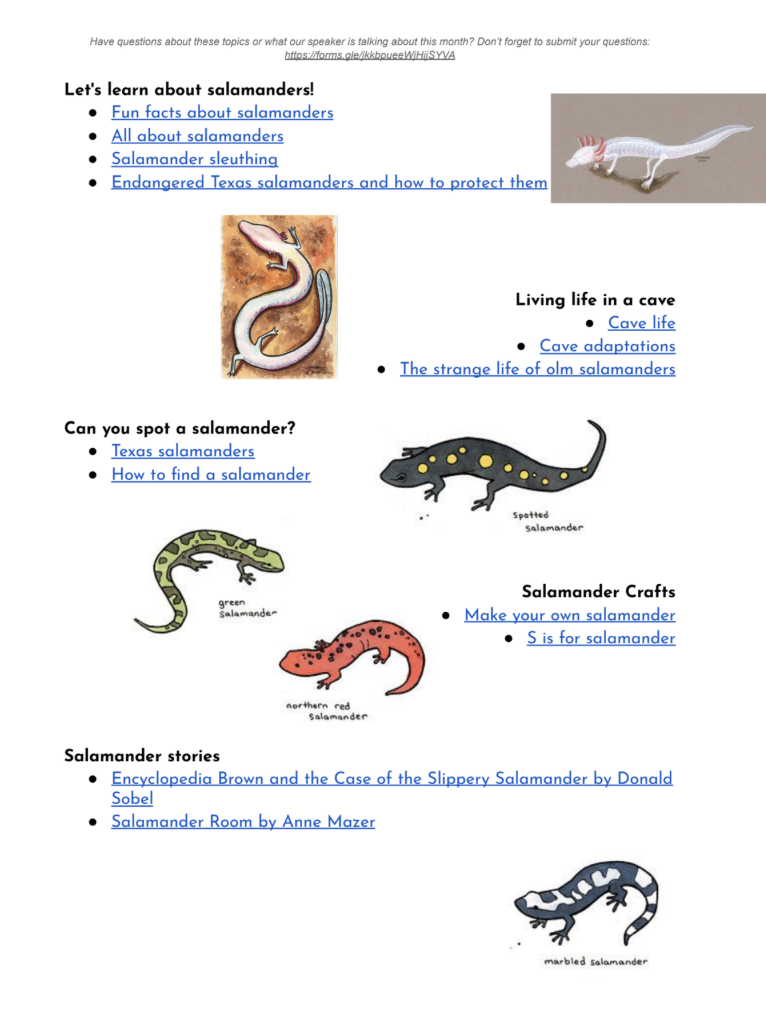 Virtual SUTS! The world beneath your feet: a salamander’s perspective ...