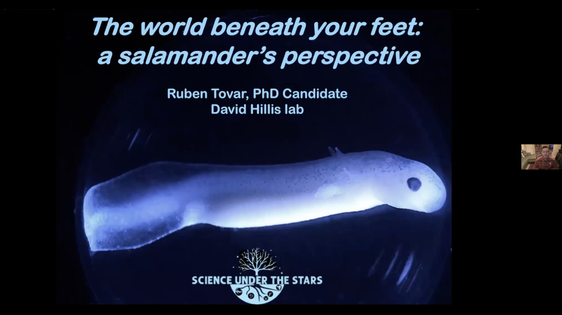 Recording of The world beneath your feet: a salamander’s perspective ...